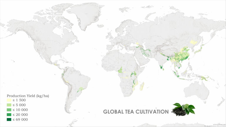 From Highland Peaks to Lowland Valleys: Mapping the World's Coffee and ...