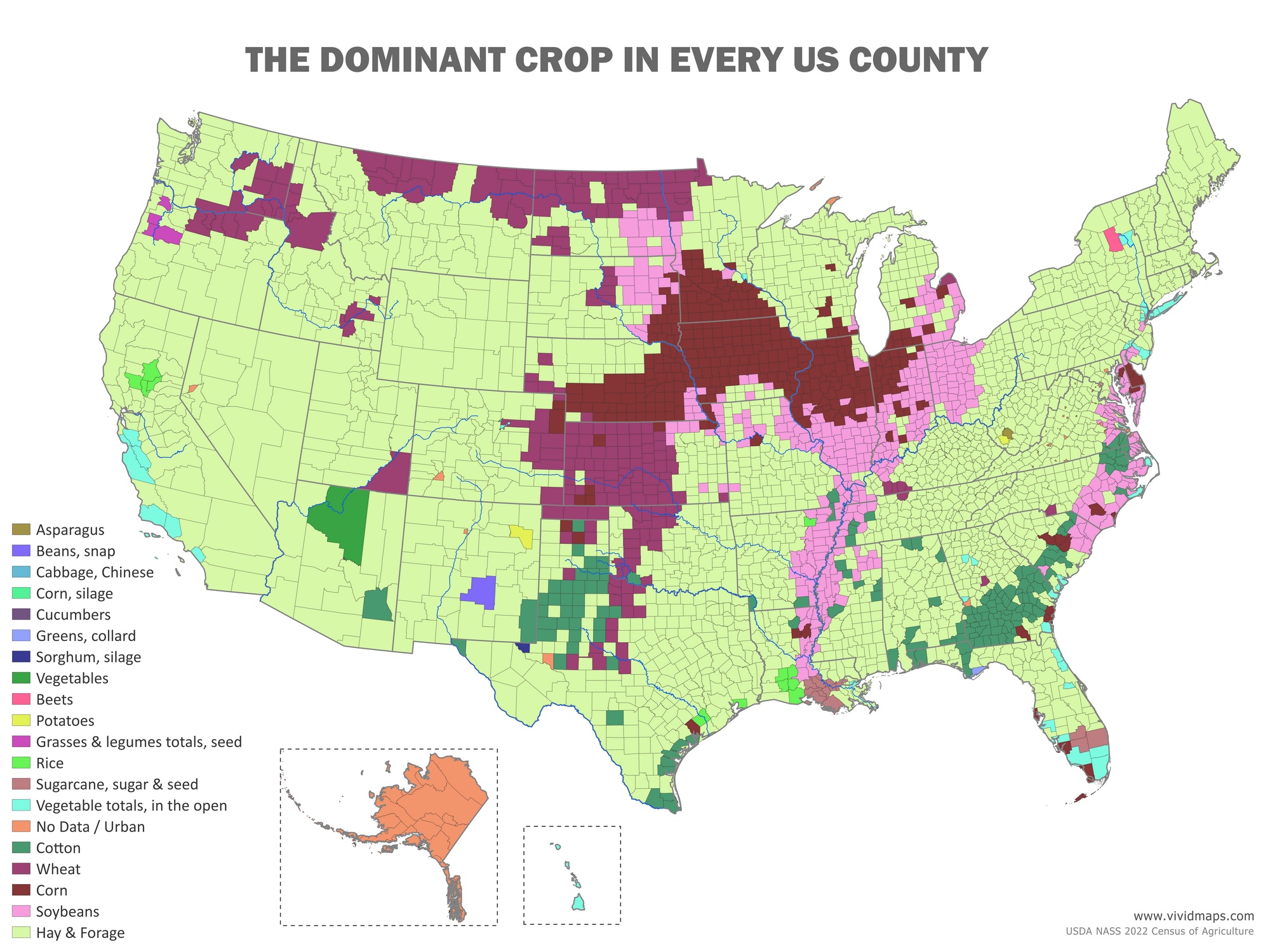 The Dominant Crop in Every US County - Vivid Maps